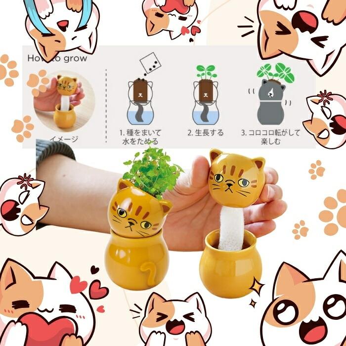 新生活 入園 入学 文房具セット付 COROCORO CAT ハーブ栽培キット ねこ ミント バジル ワイルドストロベリー お料理 子供 家庭 ...