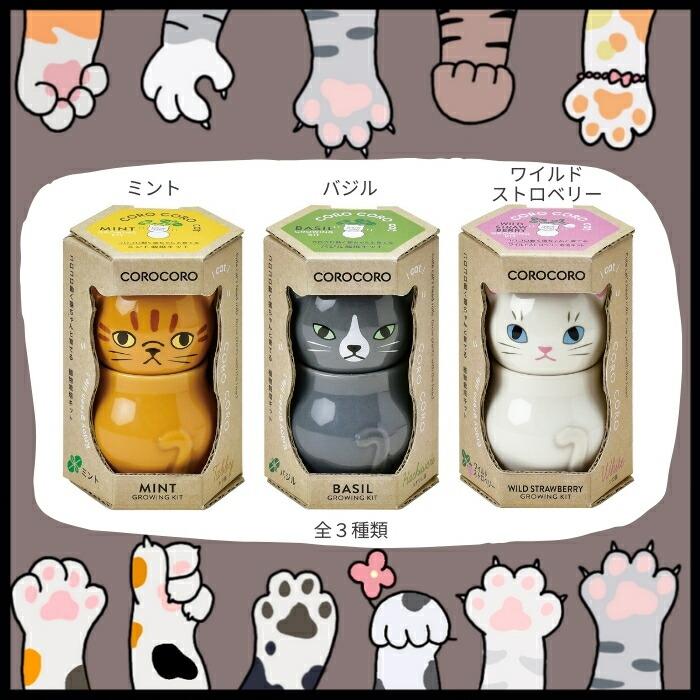 新生活 入園 入学 文房具セット付 COROCORO CAT ハーブ栽培キット ねこ ミント バジル ワイルドストロベリー お料理 子供 家庭 ...