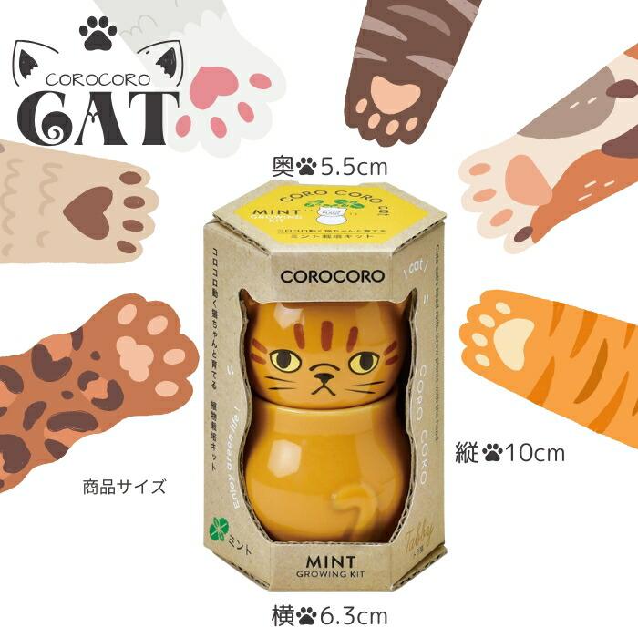 新生活 入園 入学 文房具セット付 COROCORO CAT ハーブ栽培キット ねこ ミント バジル ワイルドストロベリー お料理 子供 家庭 ...