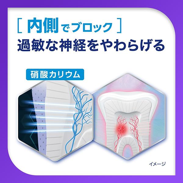 薬用シュミテクト シュミテクト プラチナプロテクトEX クリアミント 90g グラクソ・スミスクライン : ナイスドラッグ Yahoo!店 - 通販 - Yahoo!ショッピング