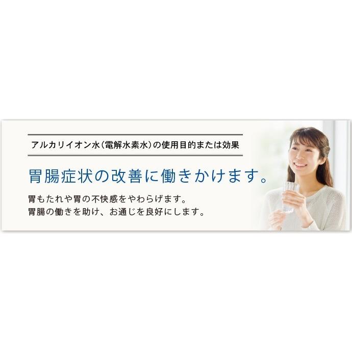 トレビFWH-10000 フジ医療器 トレビ水素プラス アルカリイオン整 トレビFWH-10000 フジ医療器 トレビ水素プラス アルカリイオン整