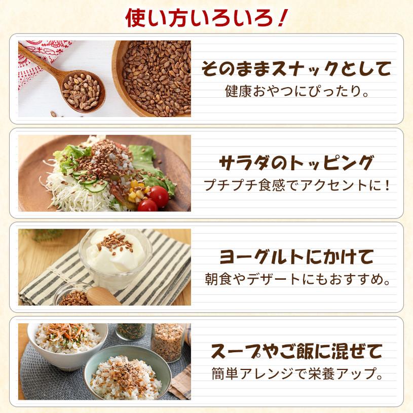 NICHIGA スーパー大麦 バーリーマックス ロースト 900g 腸の奥まで届く天然食物繊維 そのまま美味しい NICHIGA(ニチガ) TK0 : NICHIGA(ニチガ)Yahoo!店 ...