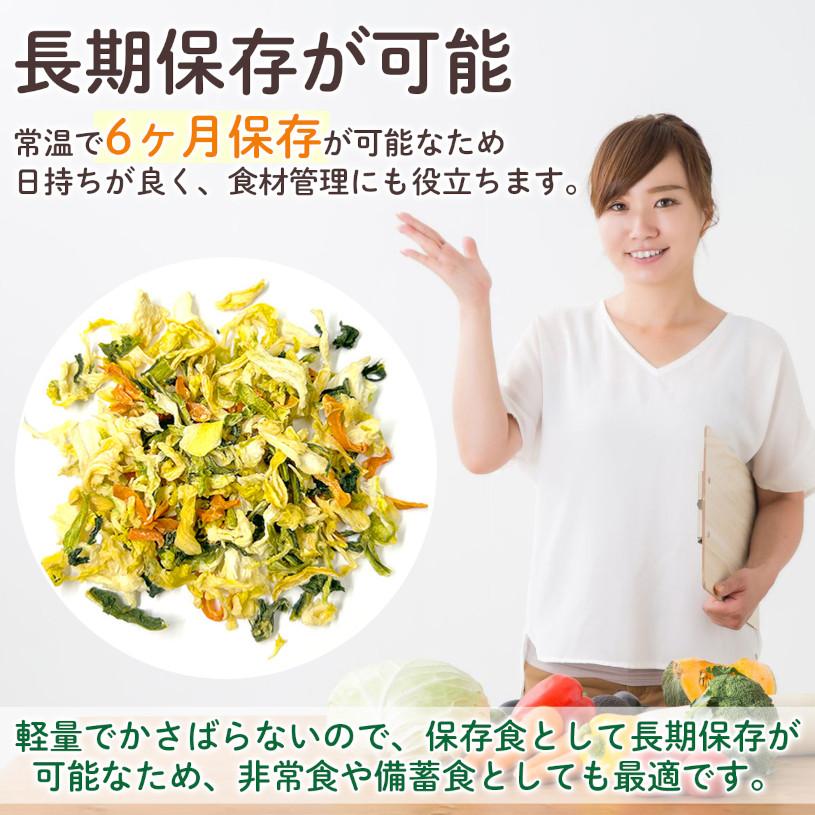 NICHIGA 国産野菜白菜ミックス 700g 食物繊維たっぷり [白菜 人参 小松菜 たまねぎ] 手軽で便利 契約農家栽培 味噌汁の具 NICHIGA(ニチガ) TK0 : NICHIGA ...