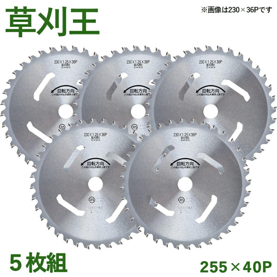 【5枚組】 草刈王 チップソー バクマ工業 BAKUMA 255×40P 外径255mm 40枚刃 草刈り 草刈機 刈払機 炭素鋼 V型埋込 中心刃 雑草 JISマーク : 農・園芸資材のに ...