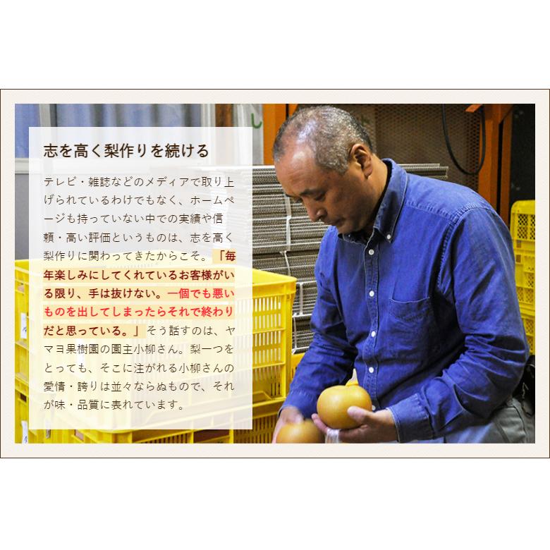 【家庭用】南水 5kg（10〜16玉）/ヤマヨ果樹園（Le Verge Yamayo）/送料無料/お歳暮 : 直送計画 - 通販 - Yahoo!ショッピング