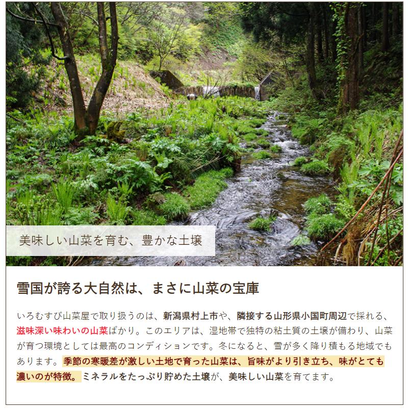 手摘み天然赤コゴミ 420g（70g×6袋）/いろむすび山菜屋/送料無料 : 新潟直送計画 Yahoo!ショッピング店 - 通販 - Yahoo!ショッピング