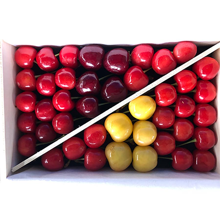 山形県産さくらんぼ 6種 2L 特秀 700g（木箱入） ※佐藤錦と紅秀峰が多めに入ります。/後払い決済不可/最上園 百姓ワタナベ/送料無料 : 直送計画 - 通販 - Yahoo!ショッピング