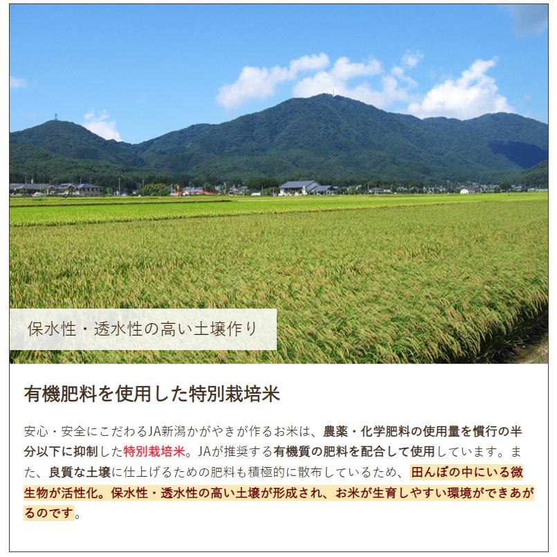 特別栽培米（減農薬・減化学肥料）新潟県産コシヒカリ「伊彌彦米」精米10kg/JA新潟かがやき 弥彦アグリセンター/送料無料 お歳暮 - 食品