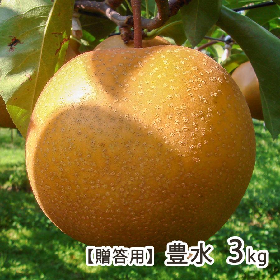 【贈答用】豊水 3kg（5〜8玉）/小柳農園/送料無料 : 新潟直送計画 Yahoo!ショッピング店 - 通販 - Yahoo!ショッピング