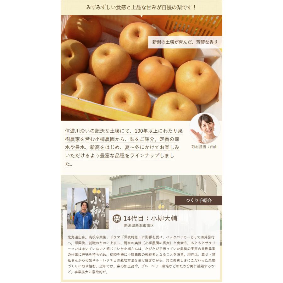 【贈答用】豊水 3kg（5〜8玉）/小柳農園/送料無料 : 新潟直送計画 Yahoo!ショッピング店 - 通販 - Yahoo!ショッピング