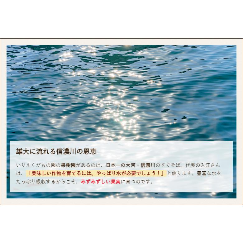 【家庭用】ル・レクチェ 3kg（7〜11玉）/いりえくだもの園/後払い決済不可/送料無料 お歳暮 : 0948-001-42 : 直送計画 - 通販 - Yahoo!ショッピング