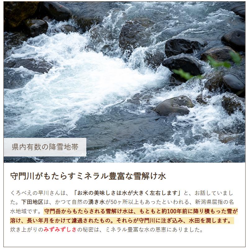 新潟県産 はざかけ米 コシヒカリ「八木ヶ鼻舞い」（有機JAS認証米）精米3kg/くろべえ/送料無料 :1019-002-01:新潟直送計画 - 通販 - Yahoo!ショッピング