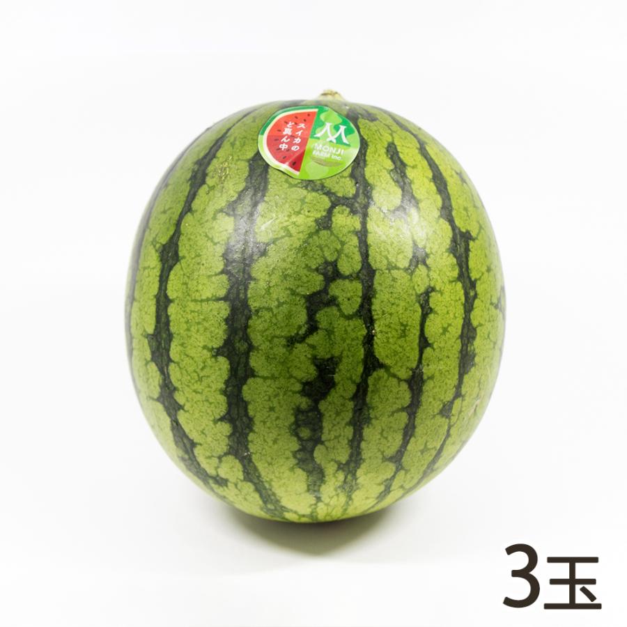 新潟県産スイカ 赤小玉 3玉入り/MONJI FARM/送料無料 : 新潟直送計画 Yahoo!ショッピング店 - 通販 - Yahoo!ショッピング