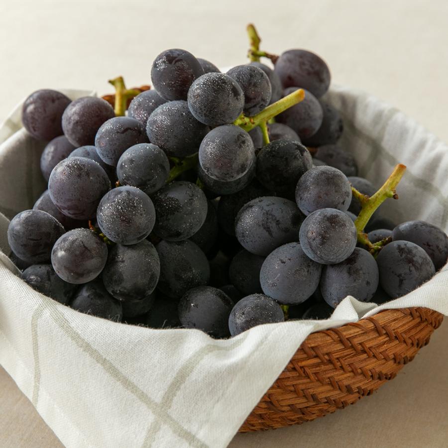 巨峰（種あり）3kg（8〜9房）/後払い決済不可/Ripi farm/送料無料 :1050-001-02:新潟直送計画 - 通販 - Yahoo!ショッピング