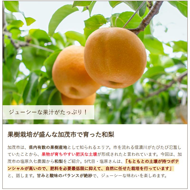 甘ひびき 3kg（6〜10玉）/後払い決済不可/塩原久七農園/送料無料 : 新潟直送計画 Yahoo!ショッピング店 - 通販 - Yahoo!ショッピング