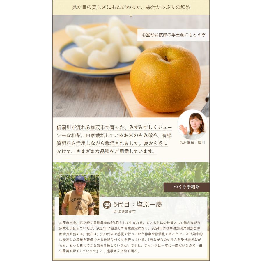 甘ひびき 5kg（12〜16玉）/後払い決済不可/塩原久七農園/送料無料 : 新潟直送計画 Yahoo!ショッピング店 - 通販 - Yahoo!ショッピング