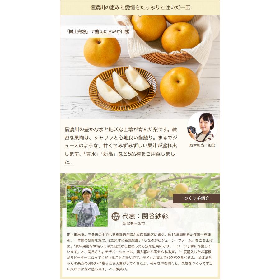 豊水 5kg（8〜18玉）/しなのがわジューシーファーム/後払い決済不可/送料無料 : 新潟直送計画 Yahoo!ショッピング店 - 通販 - Yahoo!ショッピング