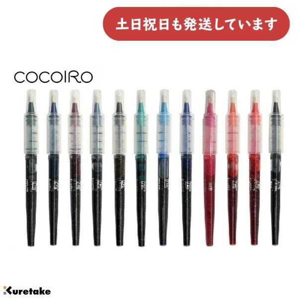 呉竹 ZIG Letterpen COCOIRO リフィル 極細 文房具 文具 カスタマイズ 替え芯 サインペン 硬筆 黒 水性顔料インキ : にじいろ文具 - 通販 - Yahoo!ショッピング