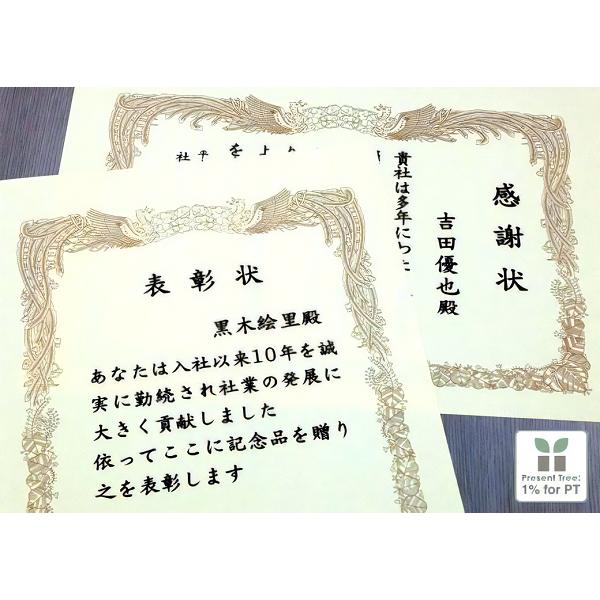 OKINA オキナ OA対応賞状用紙 B4 クリーム 縦書 10枚 SY-B4 文房具 文具 賞状 表彰 感謝状 okina : にじいろ文具 - 通販 - Yahoo!ショッピング