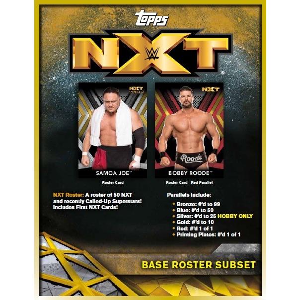 セール 2017 TOPPS WWE NXT BOX （送料無料） : 051520170040 : トレカショップ二木 - 通販 - Yahoo!ショッピング