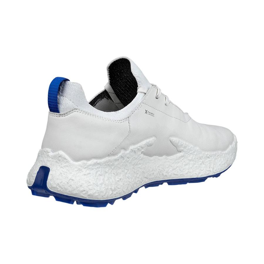 ecco（エコー） BIOM H5 スパイクレスシューズ メンズ 138014（61109