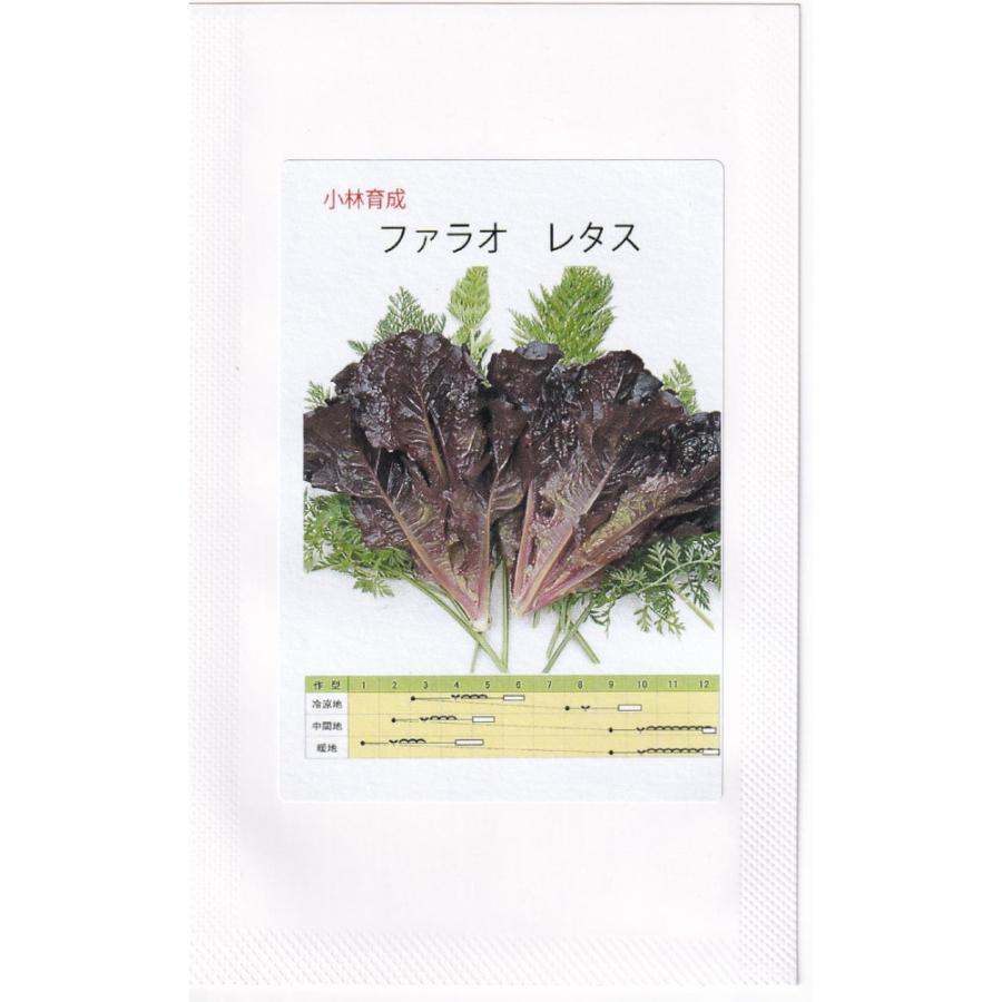 小林種苗 リーフレタス ファラオのタネ[内容量：0.7ml] : 日光種苗ヤフー店 - 通販 - Yahoo!ショッピング