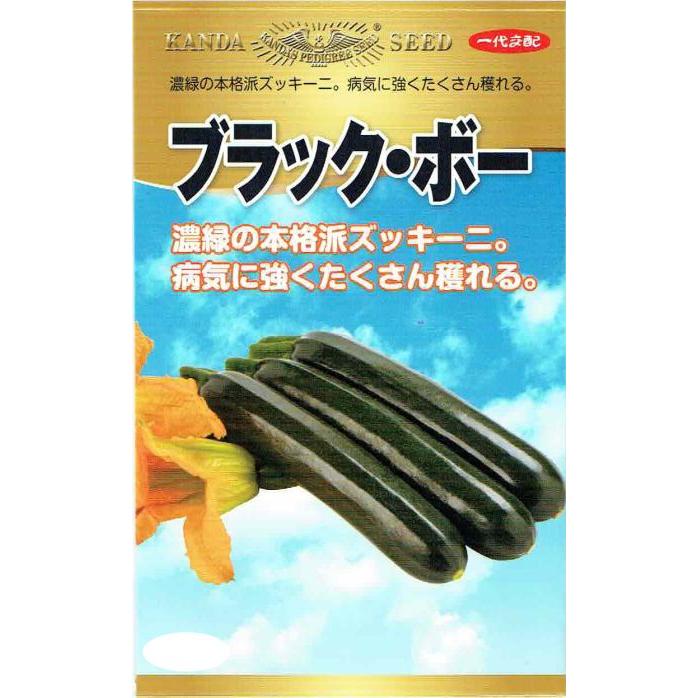 神田育種農場 ズッキーニ ブラック・ボー [内容量：約100粒] : 日光種苗ヤフー店 - 通販 - Yahoo!ショッピング