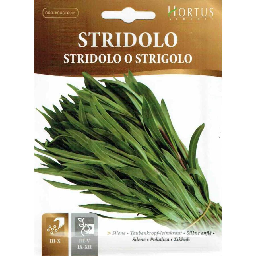 【HORTUS社】ストリドーロ STRIDOLO 1.5g [6111][COD.BSOSTR001] 【郵送対応】 : 日光種苗ヤフー店 ...