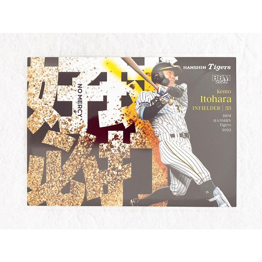 BBM2022 阪神タイガース レギュラーカード 好球必打 T79 糸原健斗 ☆ : bbm-2022-ht-t79 : Nikotto Yahoo!ショップ - 通販 - Yahoo!ショッピング