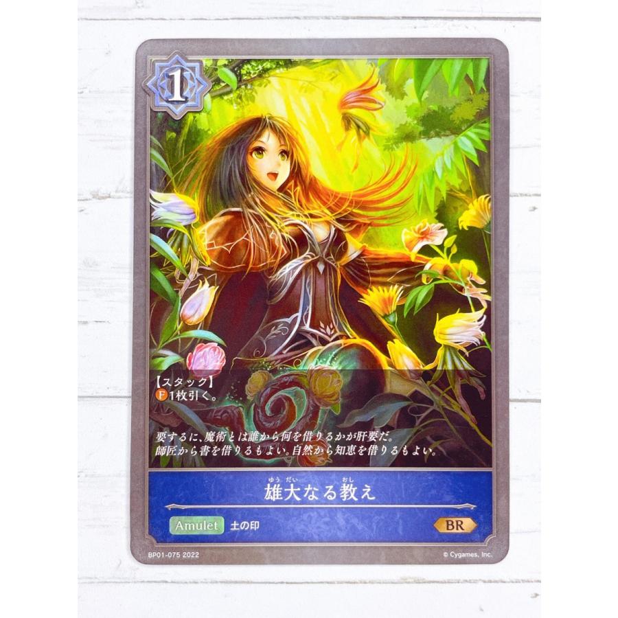 ☆ シャドウバースエボルヴ Shadowverse EVOLVE BP01-075 BR 雄大なる教え ☆ : se-bp01-075 : Nikotto Yahoo!ショップ - 通販 ...