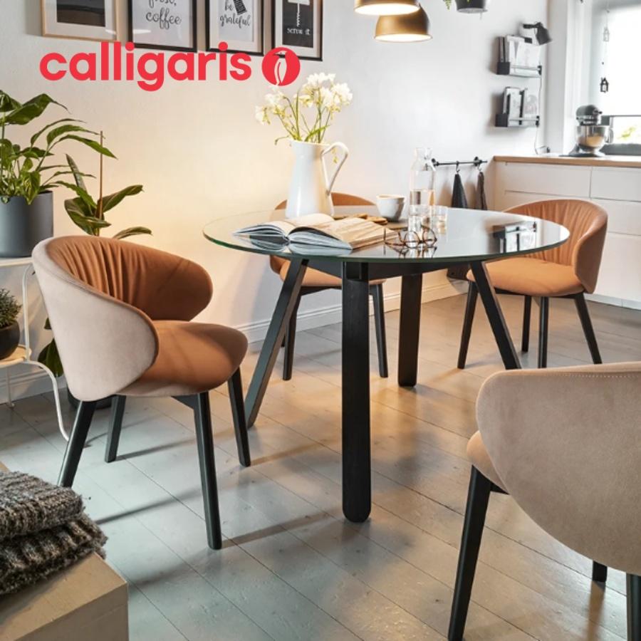 calligaris カリガリス トゥカソフト CB2162 2脚セット ダイニングチェア 椅子 イス TUKA SOFT コヌビア connubia おしゃれ : NIMUS PLUS ...