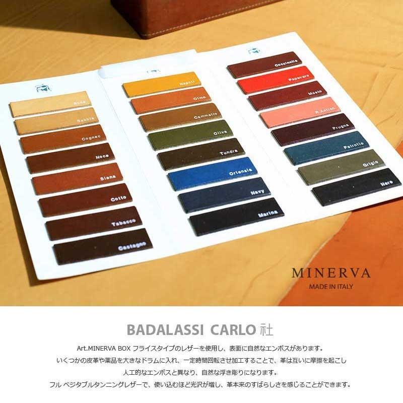 LIM'S Italian MINERVA Genuine Leather Neck Strap for Compact Camera NS ...