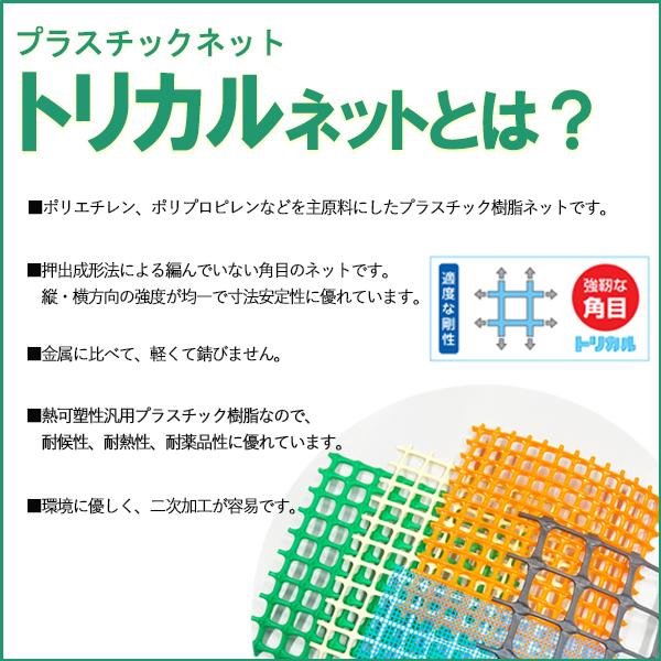 防鳥 防獣 トリカルネット N-23 グリーン 幅1240mm 長さ5m 切り売り 角目 タキロンシーアイ 雨どい 園芸 フェンス 侵入防止 獣害対策 保護 防雪 :CLV-N-23-1240 ...