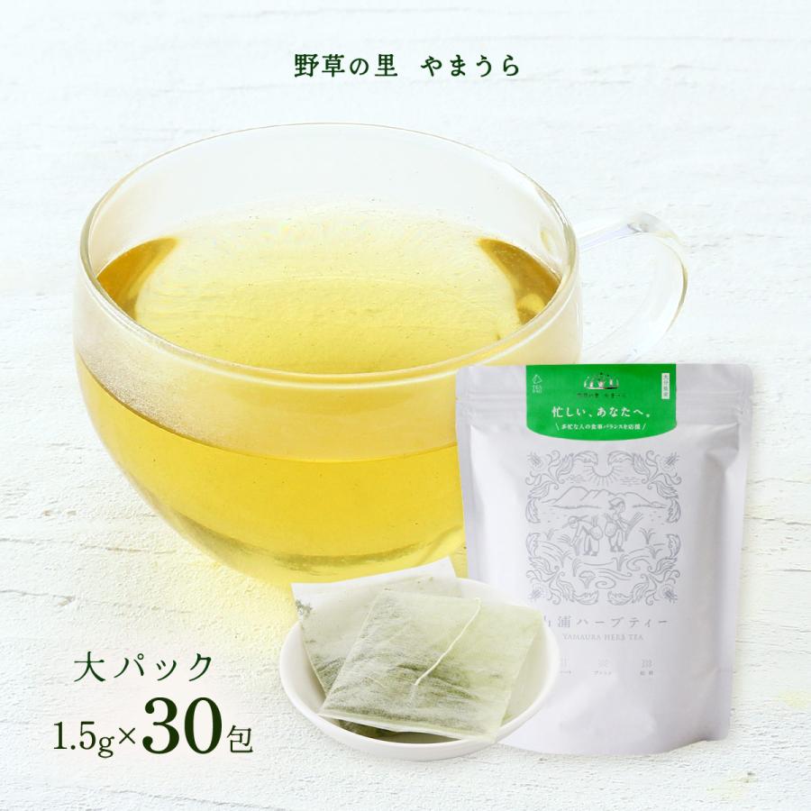 お茶 野草の里やまうら お悩み別ブレンド茶「忙しい、あなたへ。」 大パック 45g(1.5g×30包) : にじデパートYahoo!店 - 通販 - Yahoo!ショッピング
