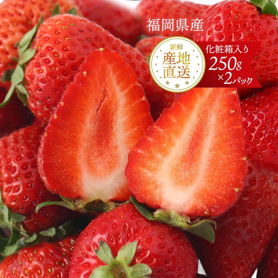あまおう 送料無料 [福岡中央青果] 福岡県産 2パック 【出荷時期:2月下旬〜】/国産 いちご 苺 イチゴ ブランドいちご スイーツ ご家庭 ...