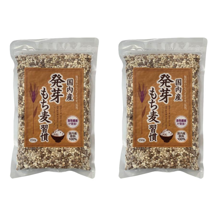雑穀米 ベストアメニティ 国内産 発芽もち麦習慣 250g×2袋セット /国産 食物繊維 健康食品 栄養バランス 美容 健康 健康習慣 ...