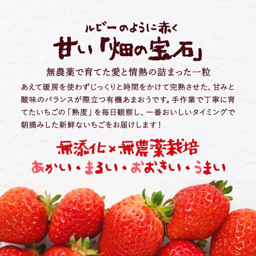 あまおういちご 4P 送料無料 うちだ自然農場 有機あまおう 1パック×4パック /苺 イチゴ 有機いちご オーガニック JAS 無農薬 農家 ...