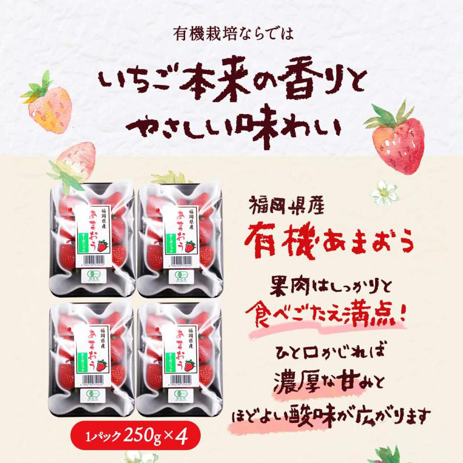 あまおういちご 4P 送料無料 うちだ自然農場 有機あまおう 1パック×4パック /苺 イチゴ 有機いちご オーガニック JAS 無農薬 農家 ...