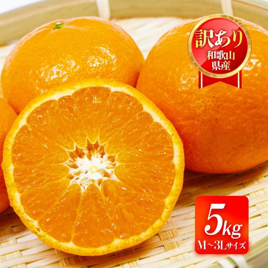 和歌山県産 みかん 5kg 送料無料 [森本農園] 津の輝 訳あり M〜3L 【2月中旬頃〜順次配送】 /訳あり 訳アリ ご家庭用 ご自宅用 ...