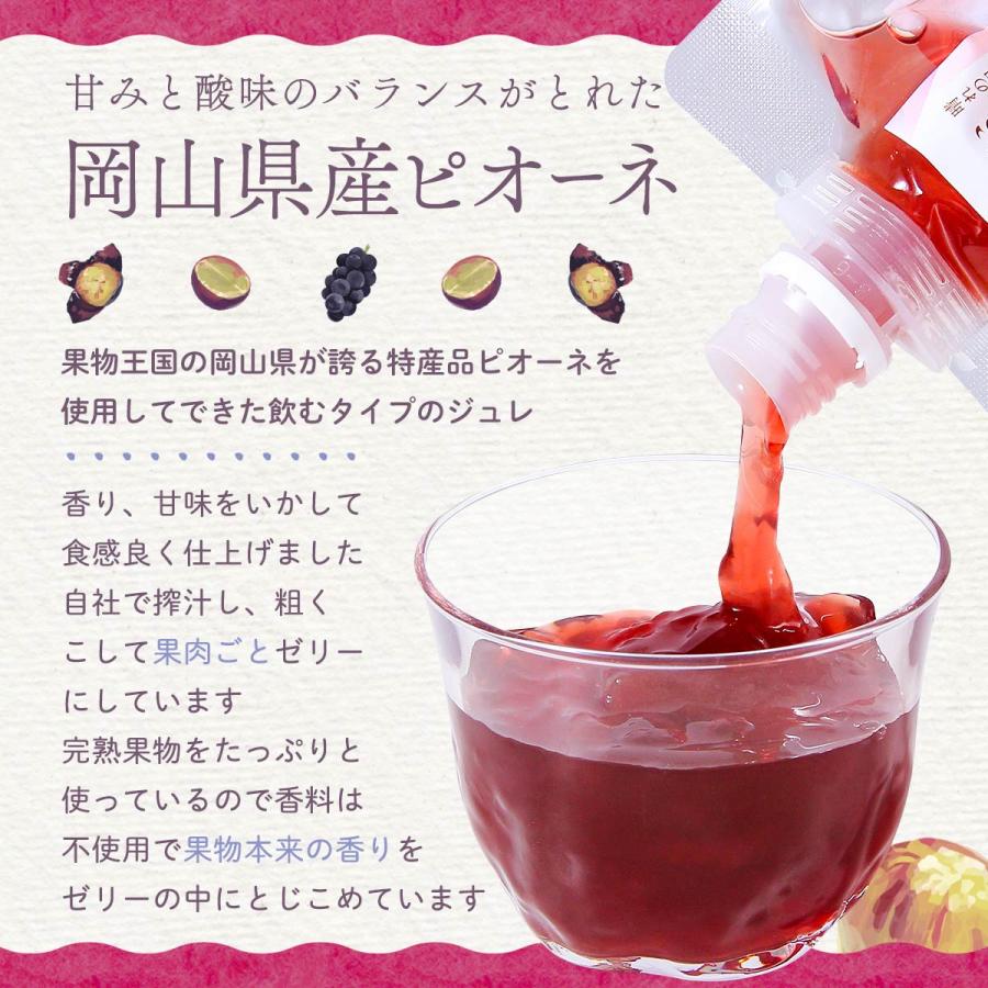 [elims] ゼリー おかやま陽乃果ゼリーセット 10個入り (和気町のりんご、一宮のマスカット、高梁のピオーネ、倉敷みかん、一宮の白桃)各150g×2 /ギフト ぜりー ...