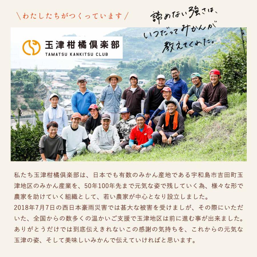 河内晩柑・訳あり品・3kg M~4Lサイズ混合 送料無料 果物 玉津柑橘倶楽部 【お届け時期:4月中旬頃〜】/みかん グレープフルーツ 家庭用 国産 愛媛県 予約販売 : にじデパート ...