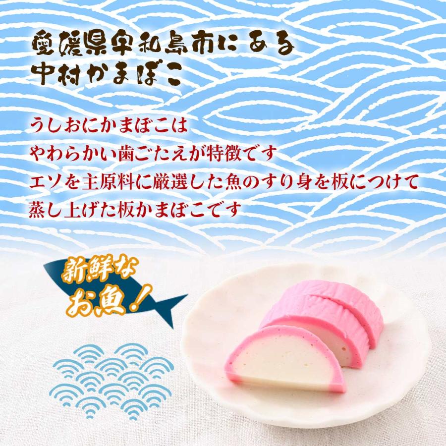 かまぼこ 中村かまぼこ うしおにかまぼこ 赤 85g /かまぼこ 愛媛県 おかず おつまみ 酒の肴 宇和島市 宇和海 魚 詰合せ お土産 練り物 便利 新鮮 じゃこ天 : にじデパート ...