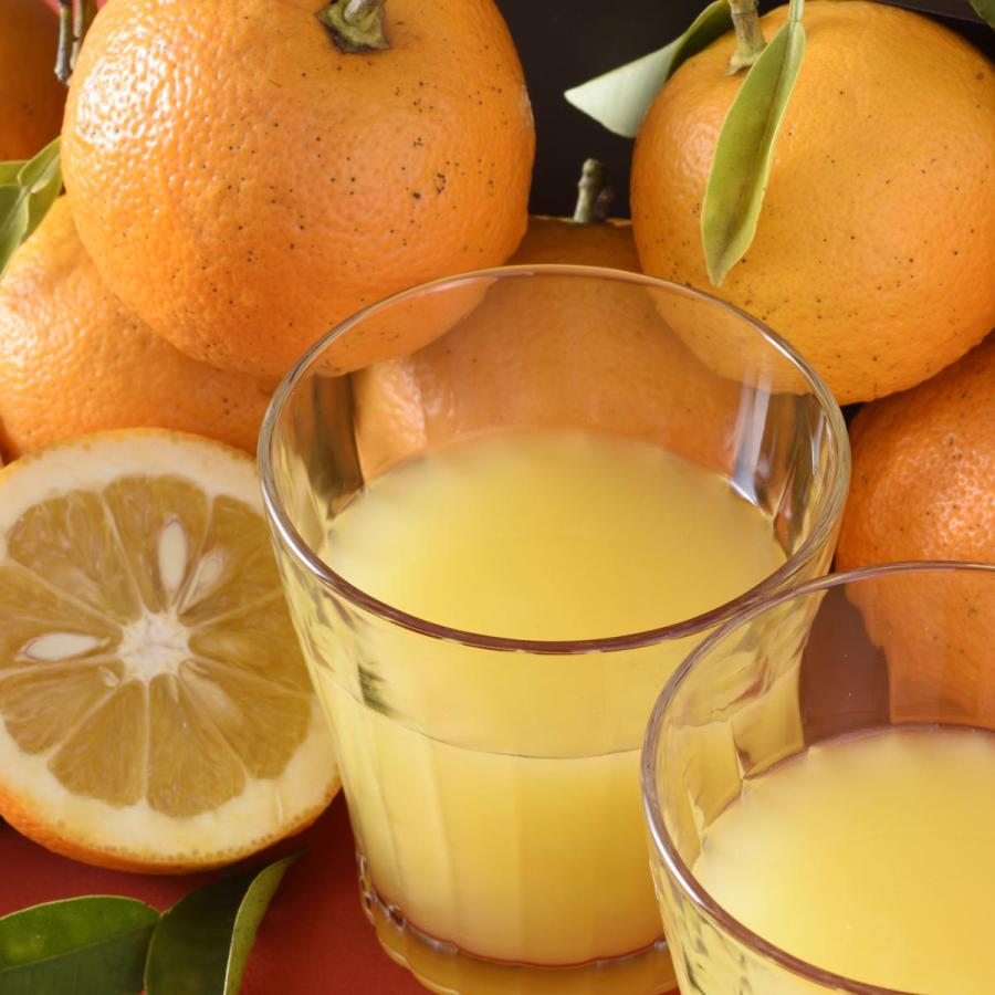 無添加 飲むダイダイ酢 500ml6本 セット 飲むお酢 四国 ご当地グルメ ドリンク 柑橘酢 【北海道・沖縄・離島 お届け不可】 : 産直お取り寄せNセレクト Yahoo!店 - 通販 ...