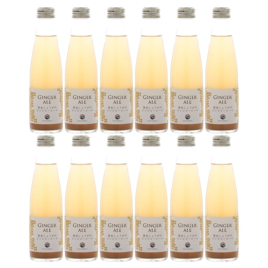 はるのてらす 黄金しょうがのジンジャーエール 12本 195ml 炭酸 : 産直お取り寄せニッポンセレクト - 通販 - Yahoo!ショッピング