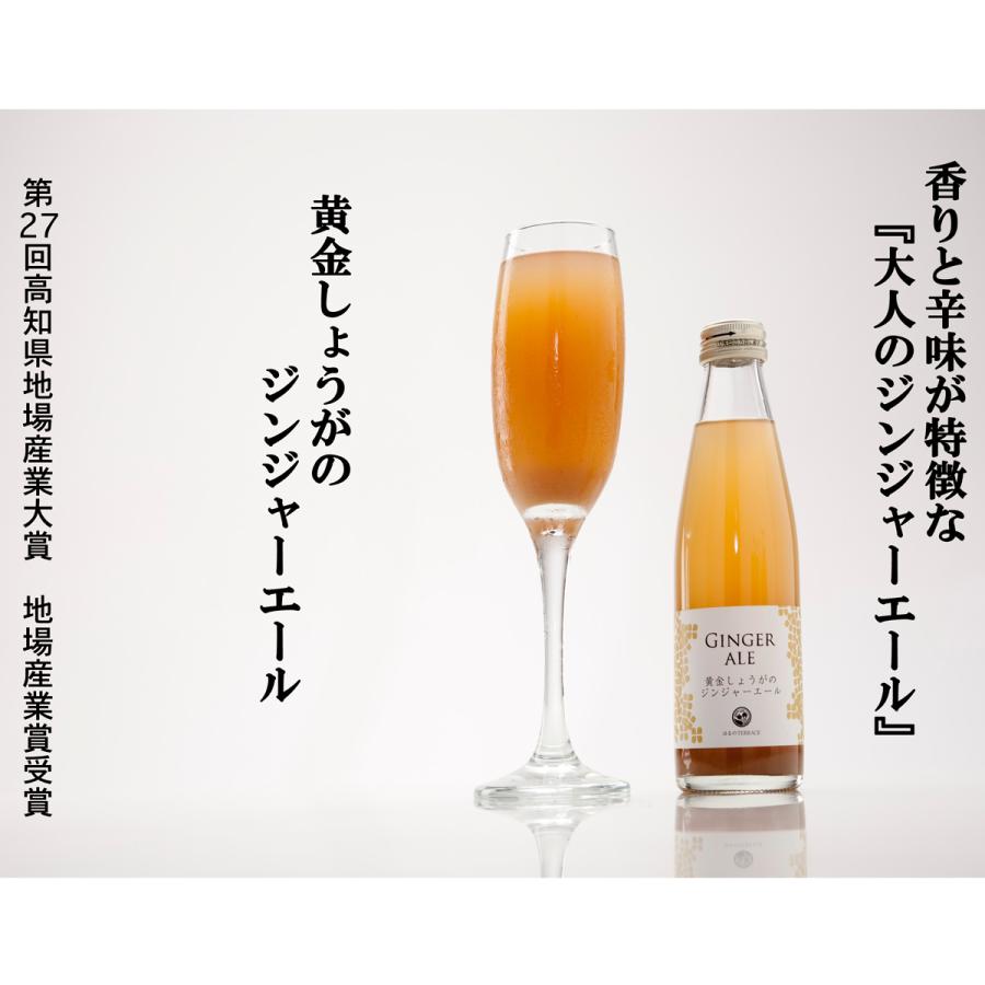 はるのてらす 黄金しょうがのジンジャーエール 12本 195ml 炭酸 : 産直お取り寄せニッポンセレクト - 通販 - Yahoo!ショッピング