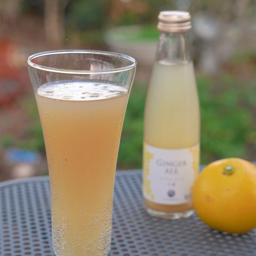 はるのてらす ジンジャーエール 小夏 12本 195ml 炭酸飲料 : 産直お取り寄せニッポンセレクト - 通販 - Yahoo!ショッピング