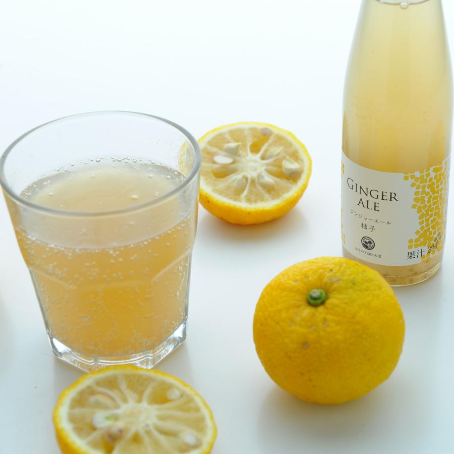 はるのてらす ジンジャーエール 柚子 12本 195ml 炭酸飲料 : 産直お取り寄せニッポンセレクト - 通販 - Yahoo!ショッピング
