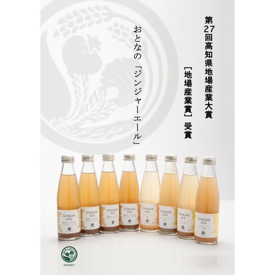 はるのてらす ジンジャーエール 柚子 12本 195ml 炭酸飲料 : 産直お取り寄せニッポンセレクト - 通販 - Yahoo!ショッピング