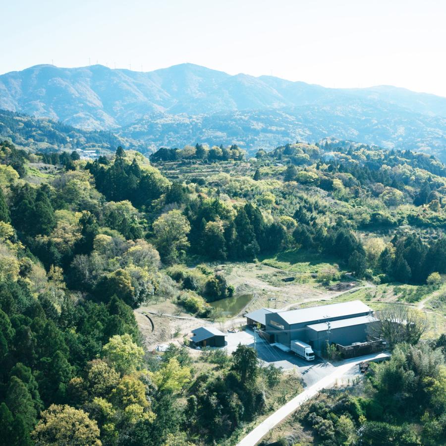 丸ごと皮削り 国産柚子と伊予柑のジュース 550ml パウチ 2本入 : 産直お取り寄せニッポンセレクト - 通販 - Yahoo!ショッピング