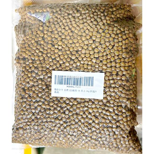 キョーリン 咲ひかり 白虎 白地用 L 浮 5kg(1kg×5袋) 計売 (密封包装) 送料無料 但、一部地域除 2点目より400円引 : 株式会社大谷錦鯉店 - 通販 - Yahoo!ショッピング